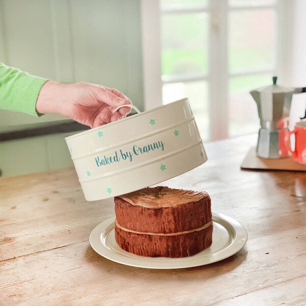 Cake Carrier - Etsy