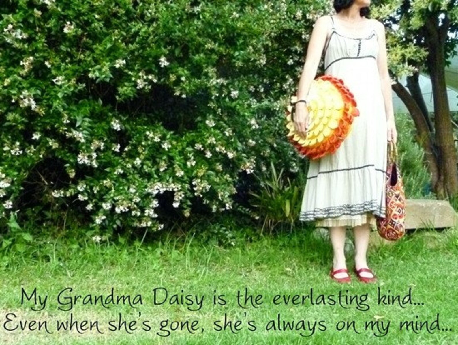Grandma Daisy Cushion Pdf - Etsy