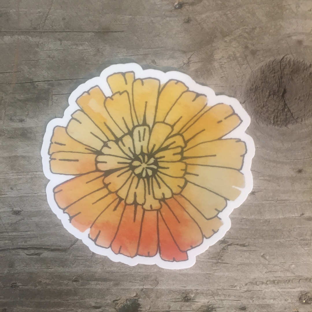 Zinnia Vinyl Sticker - Etsy