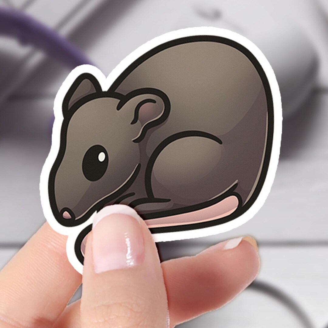 Cute Rat Sticker ~ Waterproof Vinyl Sticker for Laptop, Vehicle ...