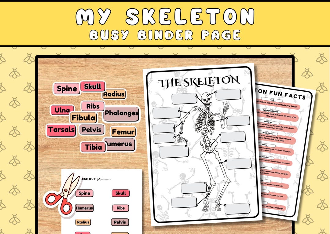 Human Skeleton Busy Book Printable Preschool Worksheets, Homeschool ...