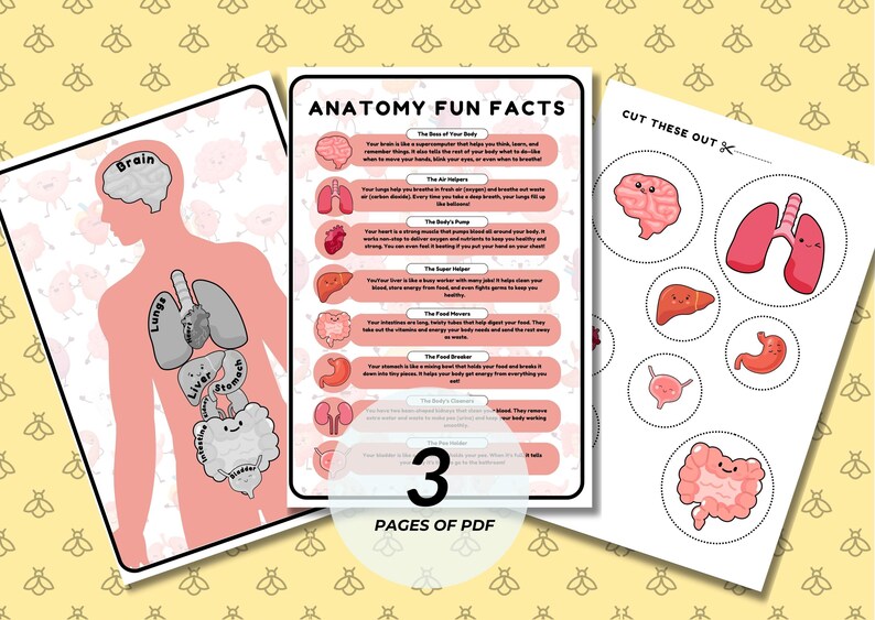 Anatomy Game, Printable Human Body Preschool Activity, About Me Kids ...