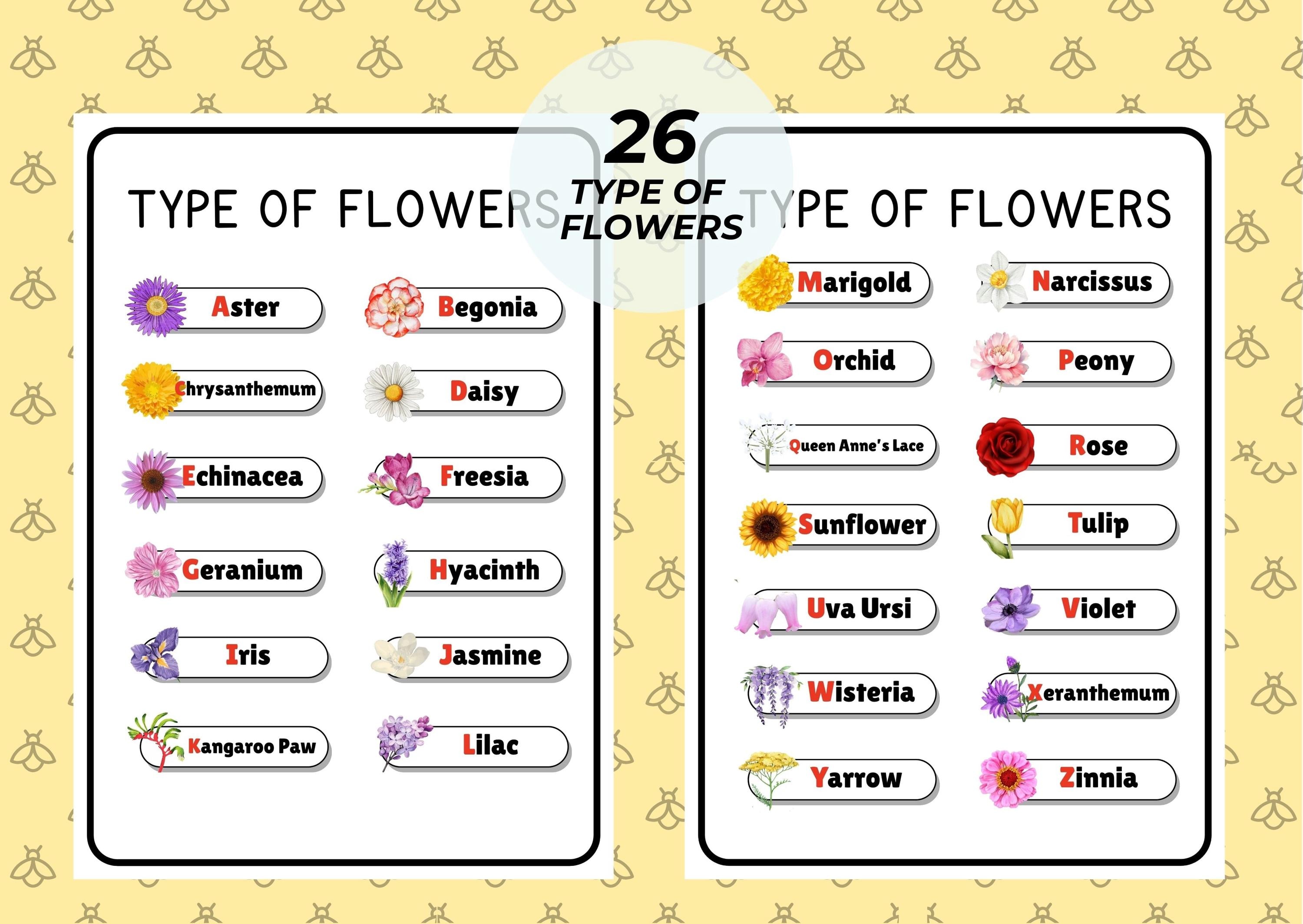 Handwriting Practise Writing Sentences Worksheet Preschool Activity ...