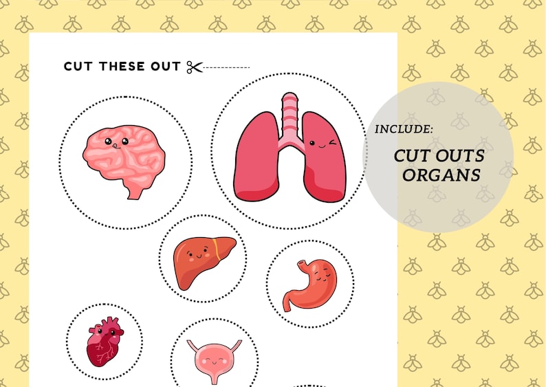 Anatomy Game, Printable Human Body Preschool Activity, About Me Kids ...