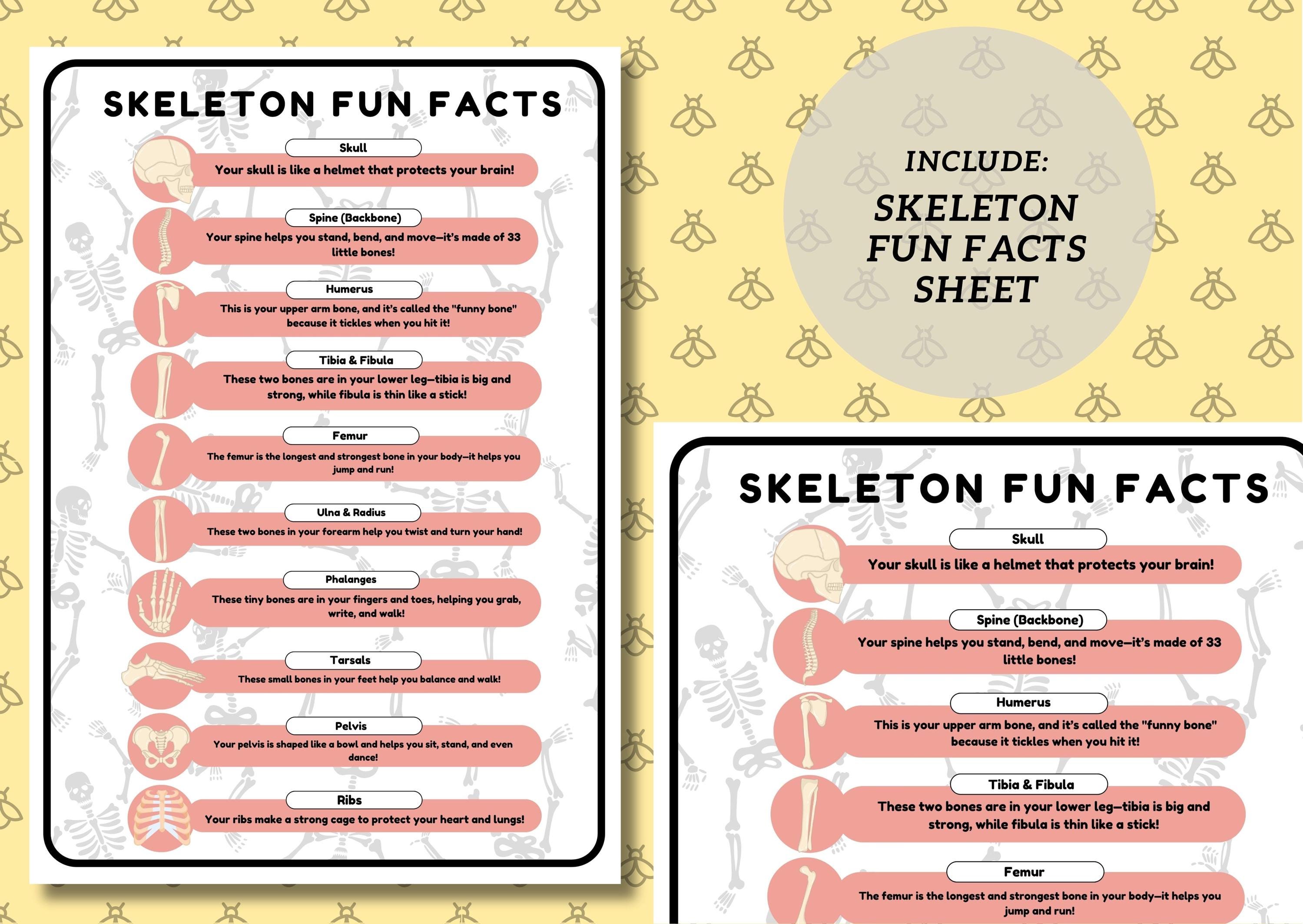 Human Skeleton Busy Book Printable Preschool Worksheets, Homeschool ...