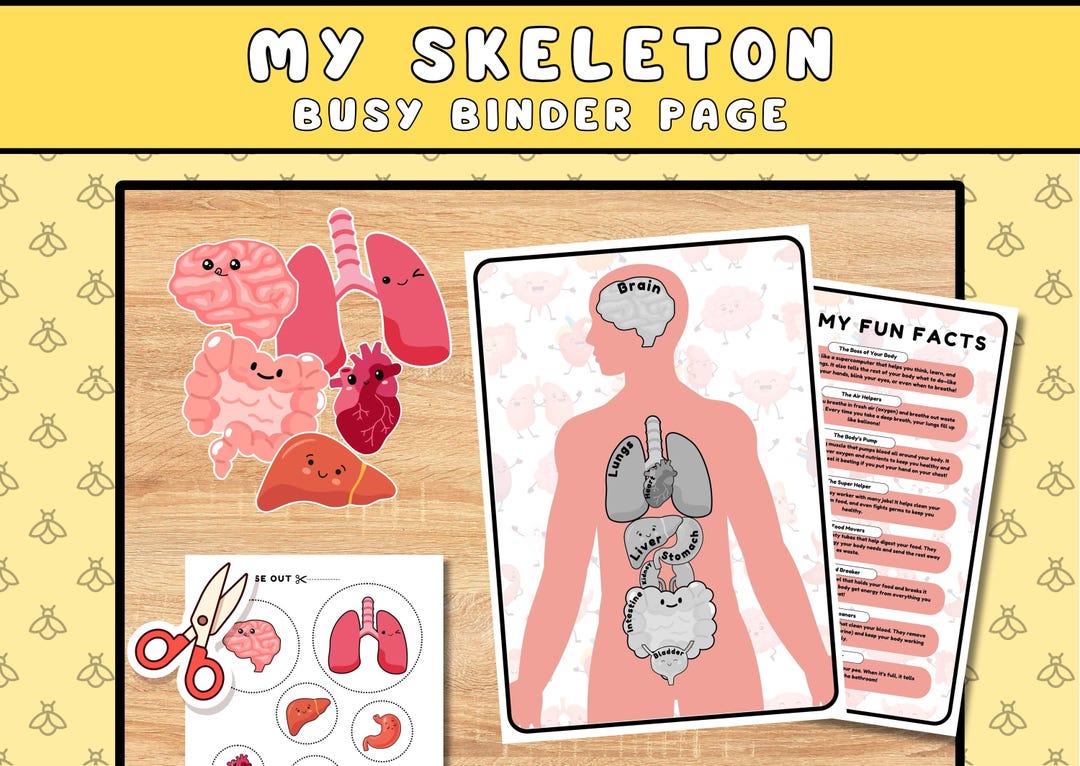 Anatomy Game, Printable Human Body Preschool Activity, About Me Kids ...