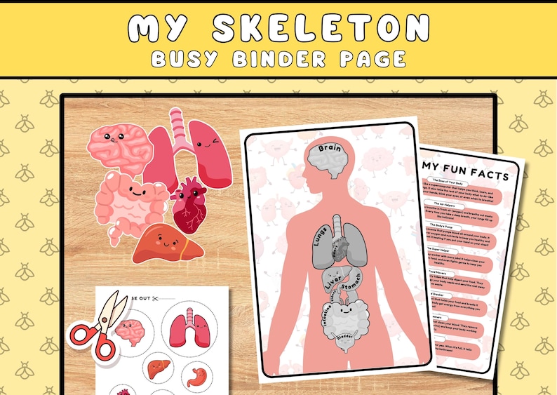 Anatomy Game, Printable Human Body Preschool Activity, About Me Kids ...