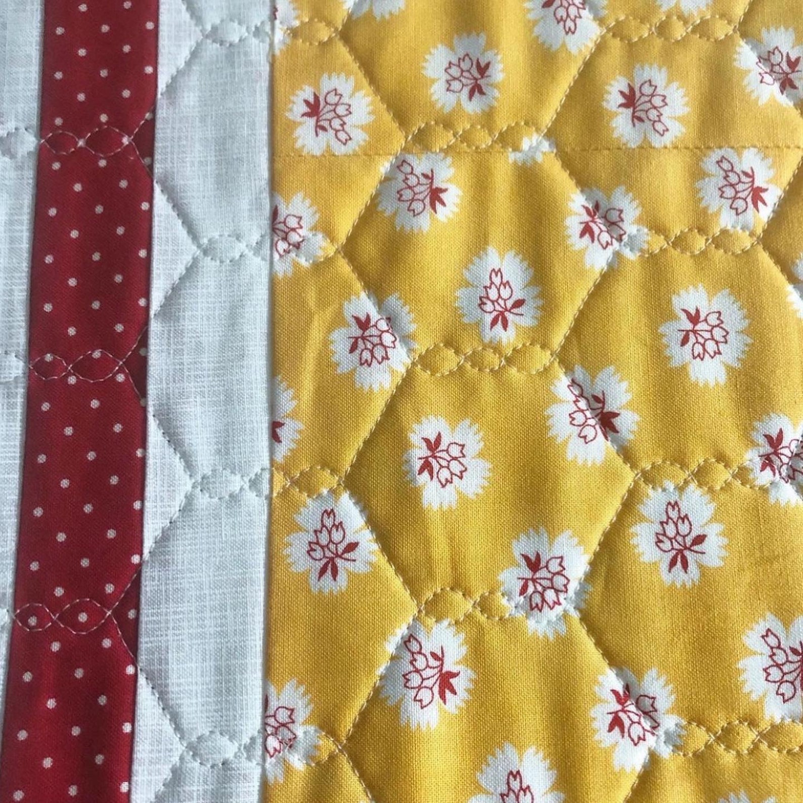 JULIE'S CHICKEN WIRE - Read Description. Quilting Digital Edge to Edge ...
