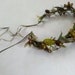 Greenery Fairy Halo Bridal Flower Crown Headdress Olive Vine Hair ...
