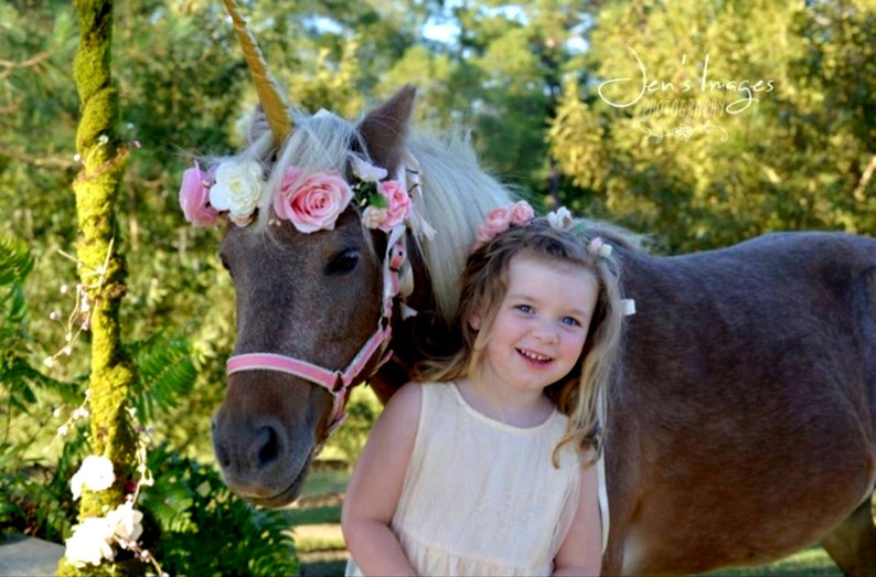 Pony Flower Crown Pink Peach Horse Photo Prop Hair Wreath - Etsy
