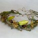 Greenery Fairy Halo Bridal Flower Crown Headdress Olive Vine Hair ...