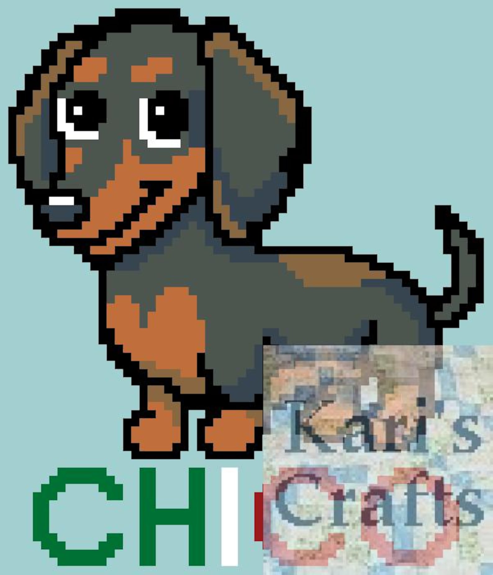 Custom C2C Graphghan Pattern for Holly - PDF Pattern for Corner to ...