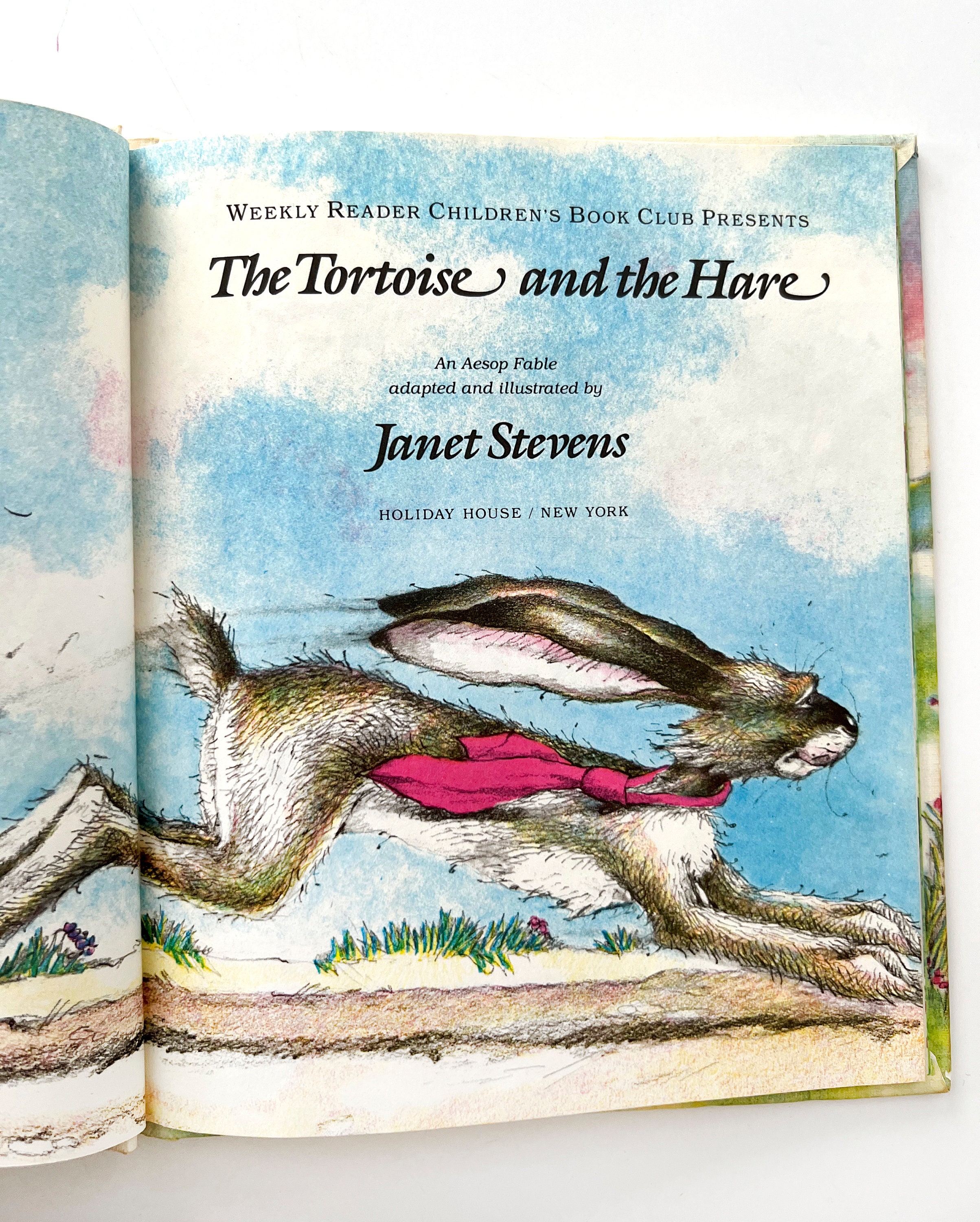 Tortoise And The Hare Aesop Fable