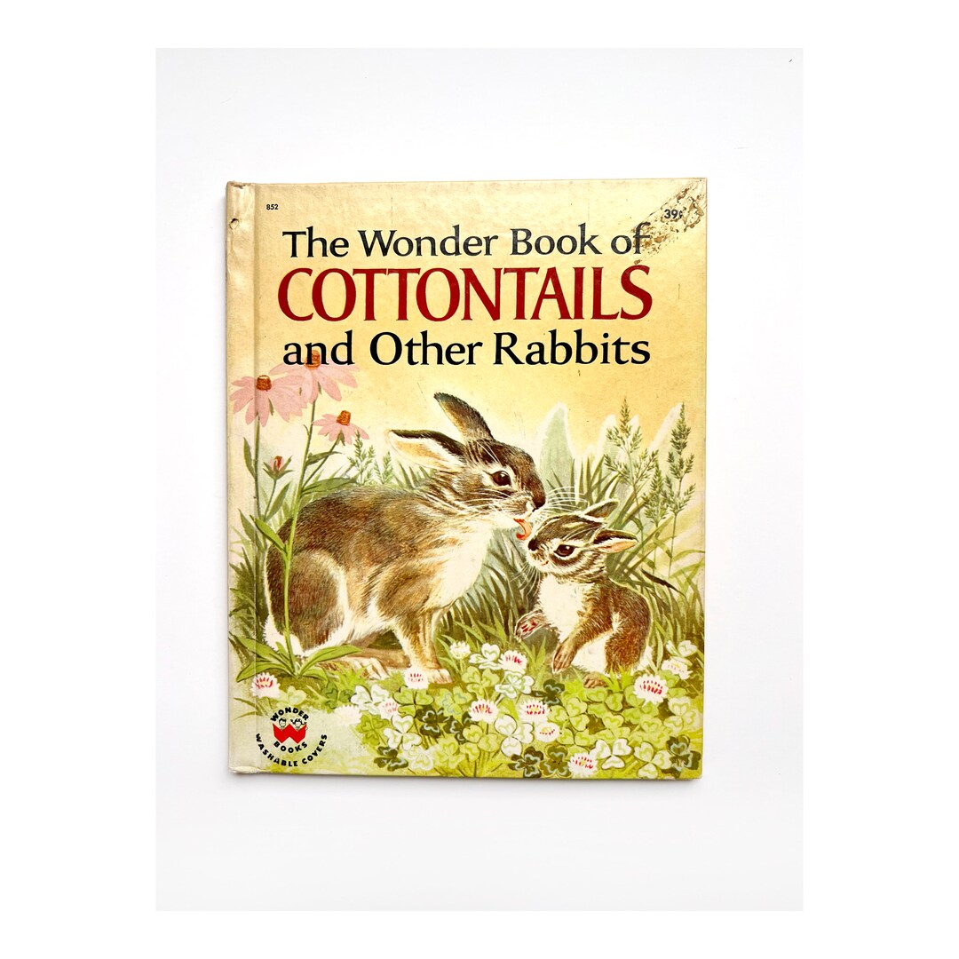 1965 the Wonder Book of Cottontails and Other Rabbits Vintage - Etsy