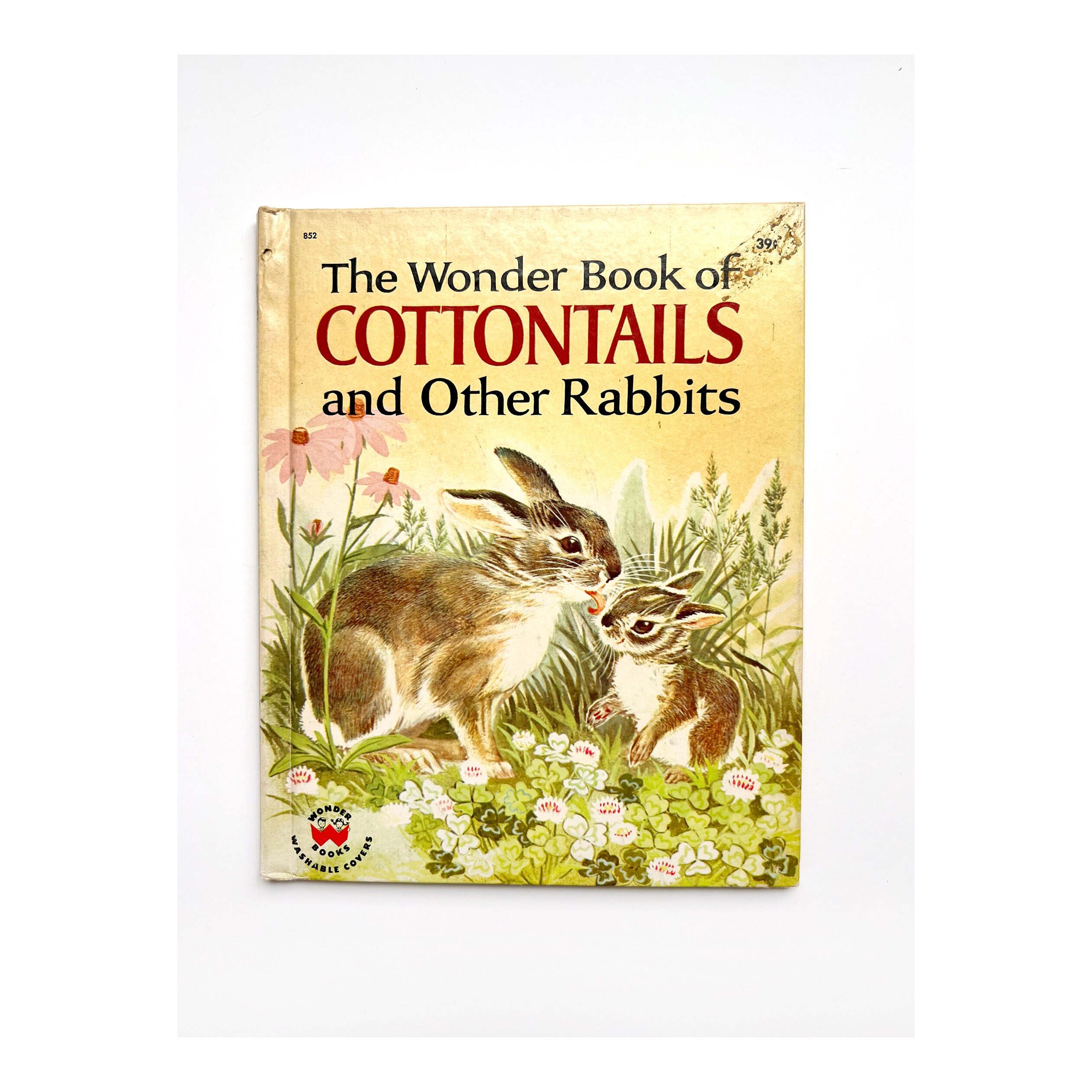 1965 the Wonder Book of Cottontails and Other Rabbits Vintage - Etsy