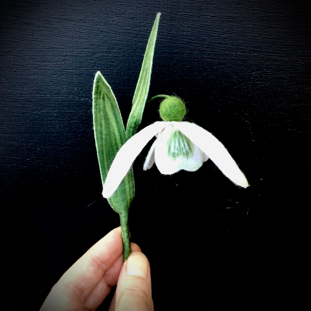 Felt Snowdrop DIY Craft Kit: Sew Your Own Spring Flowers - Etsy