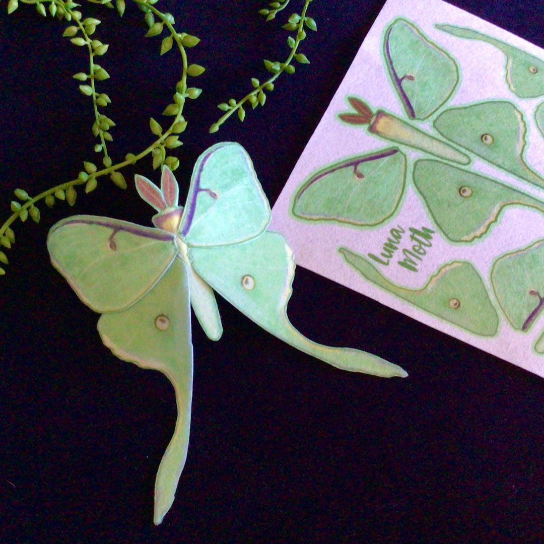 Craft Kit REFILL: Felt Luna Moth Sheet. Cut Out and Sew Felt Panel. - Etsy