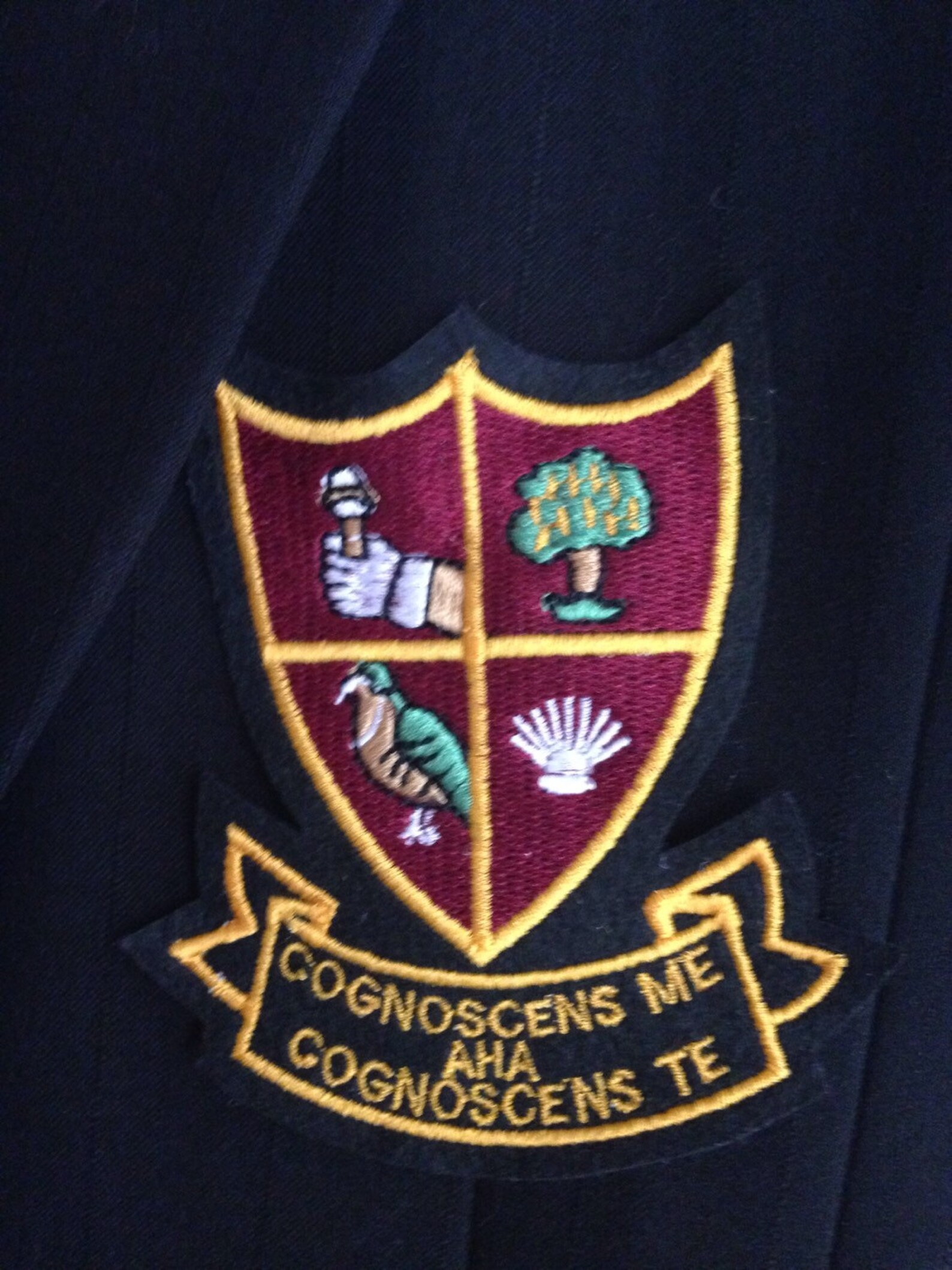 Alan Partridge Blazer Badge Cognoscens Me AHA Cognoscens Te, Alan ...