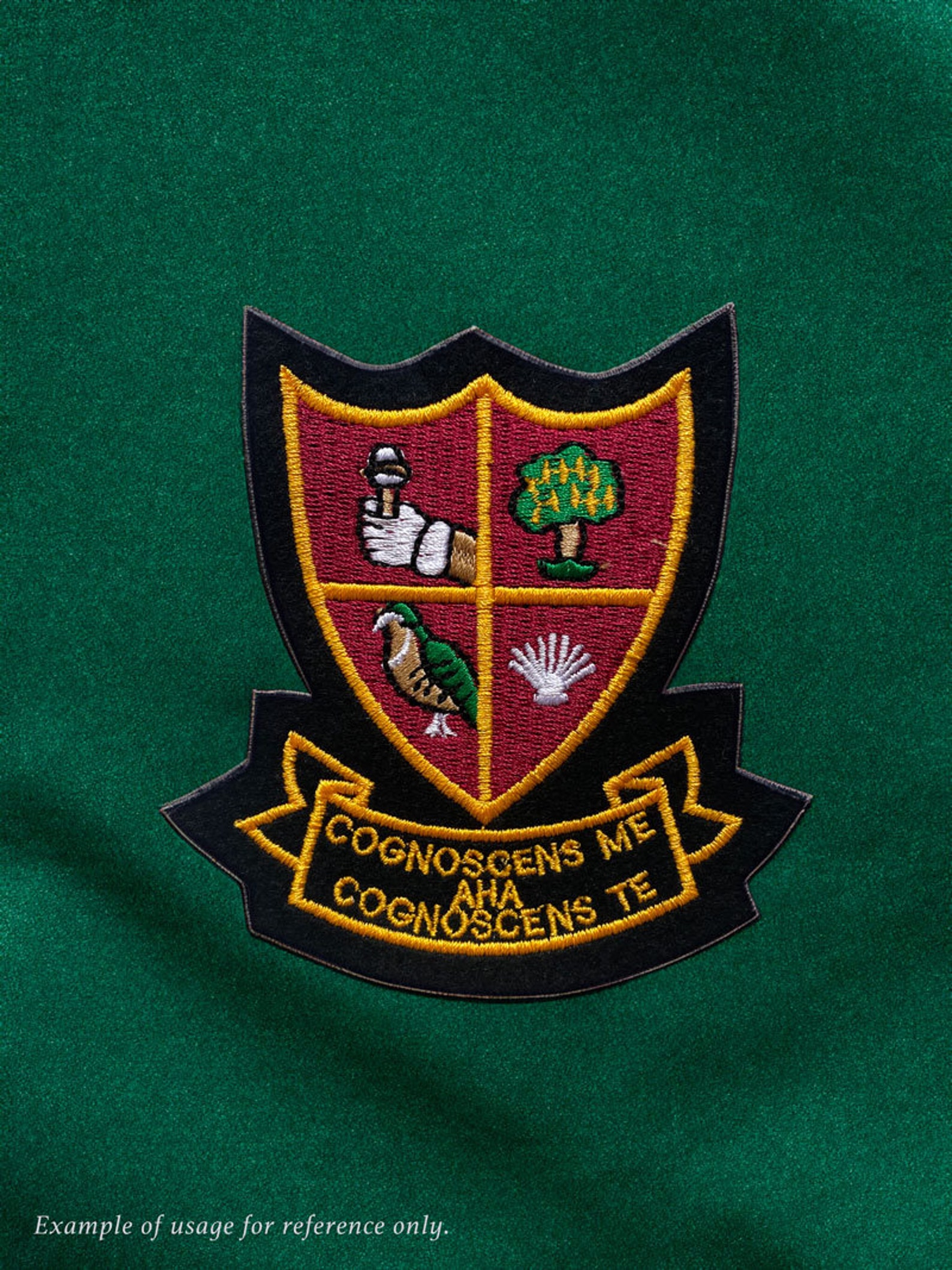 Alan Partridge Blazer Badge Cognoscens Me AHA Cognoscens Te, Alan ...