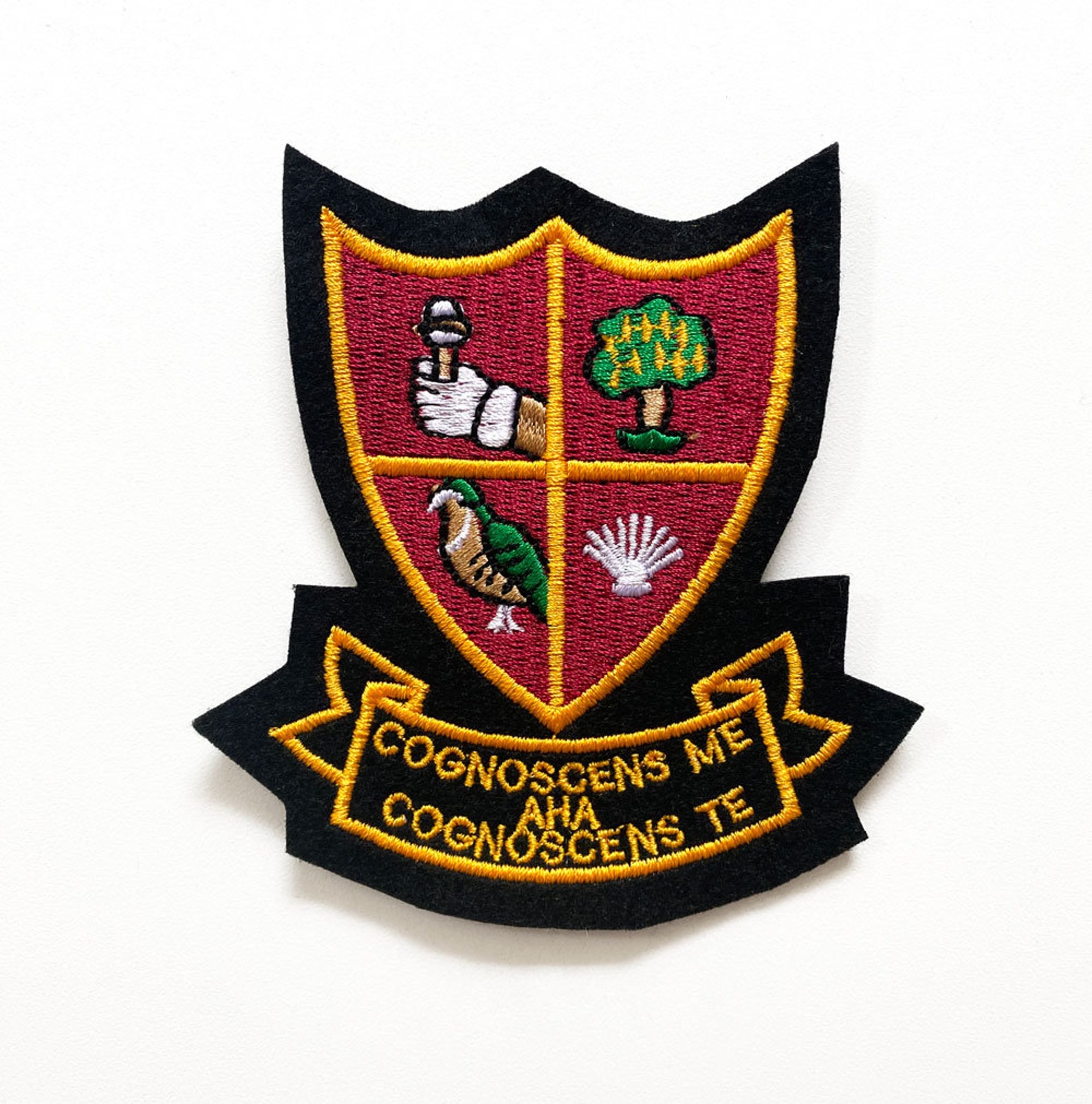 Alan Partridge Blazer Badge Cognoscens Me AHA Cognoscens Te, Alan ...