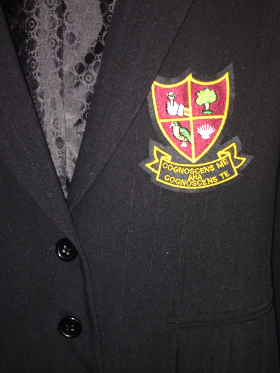 Alan Partridge Blazer Badge Cognoscens Me AHA Cognoscens Te, Alan ...