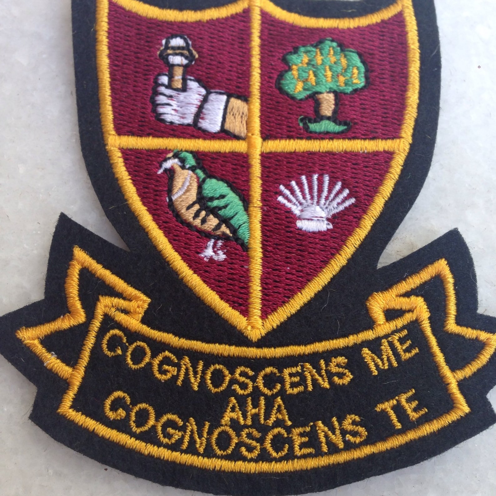Alan Partridge Blazer Badge Cognoscens Me AHA Cognoscens Te, Alan ...