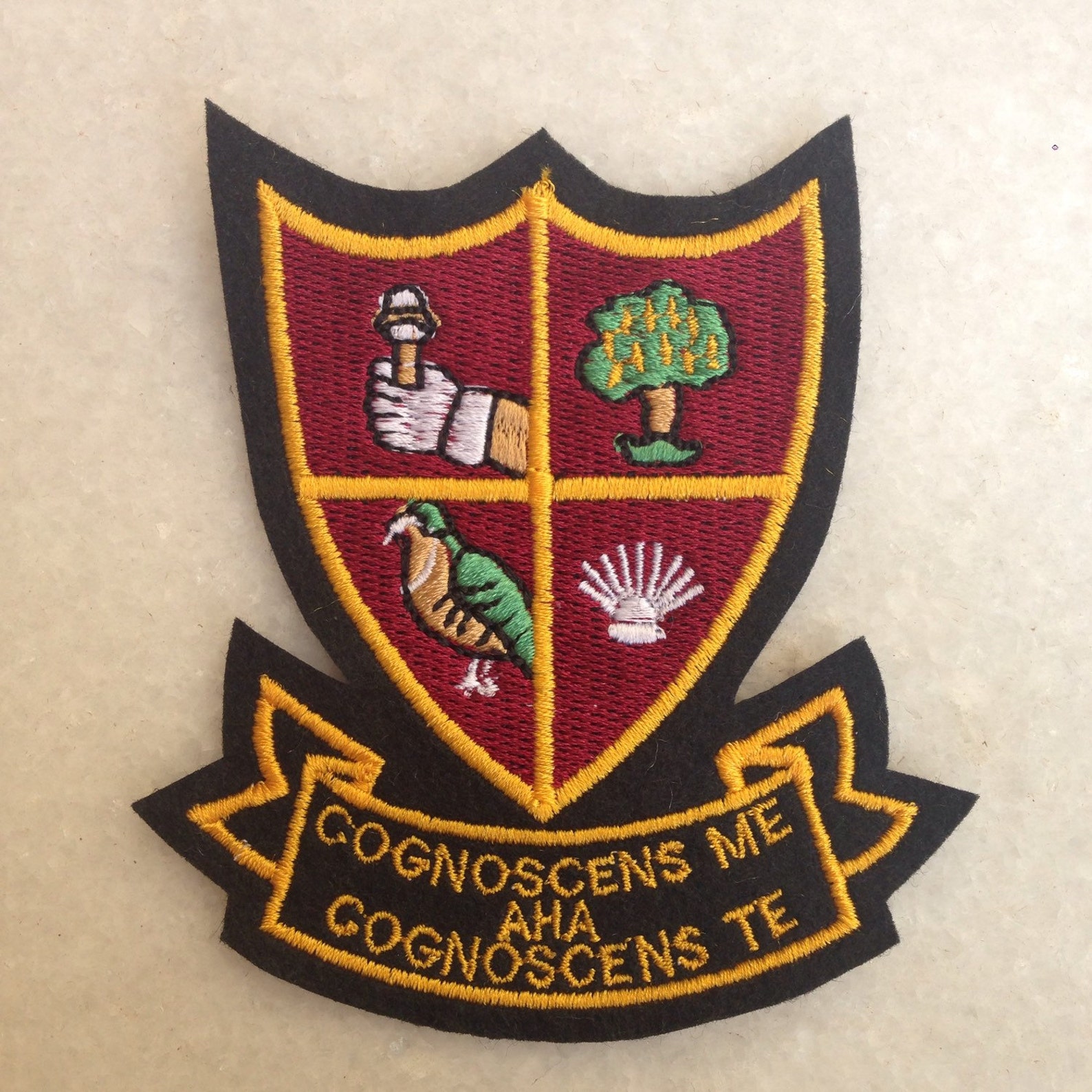 Alan Partridge Blazer Badge Cognoscens Me AHA Cognoscens Te, Alan ...