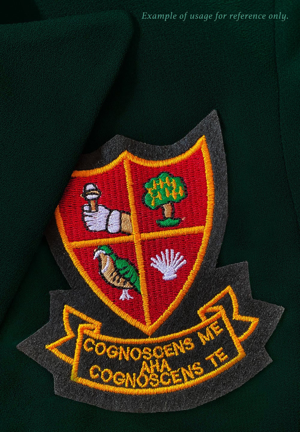 Alan Partridge Blazer Badge Cognoscens Me AHA Cognoscens Te, Alan ...