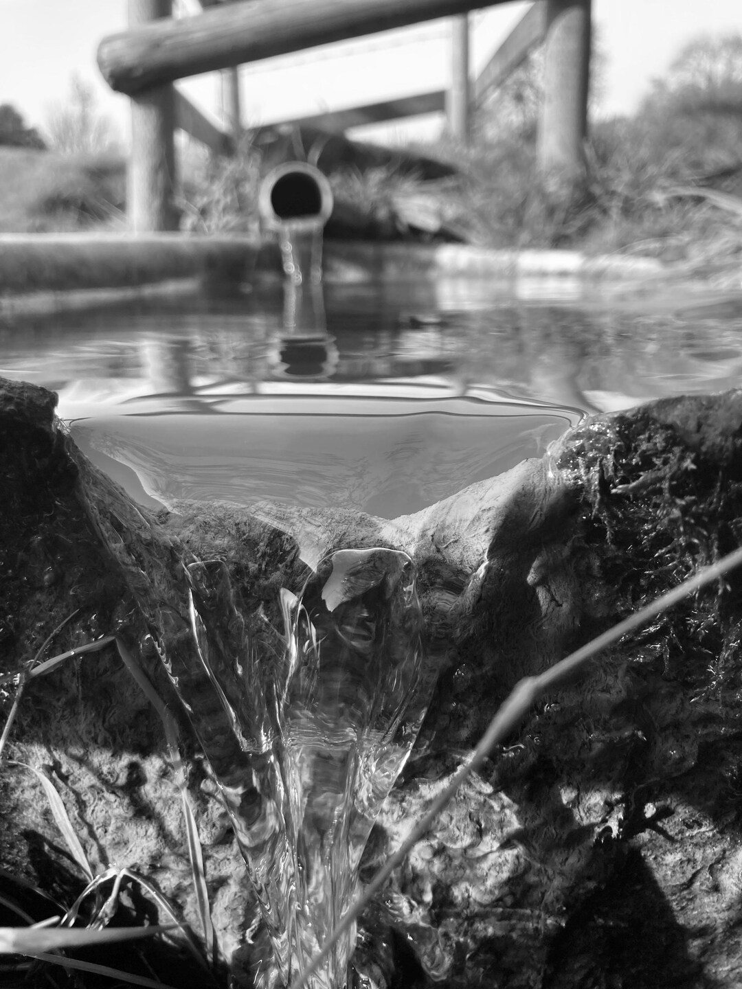 Black and White A4 Water Trough Art Print - Etsy