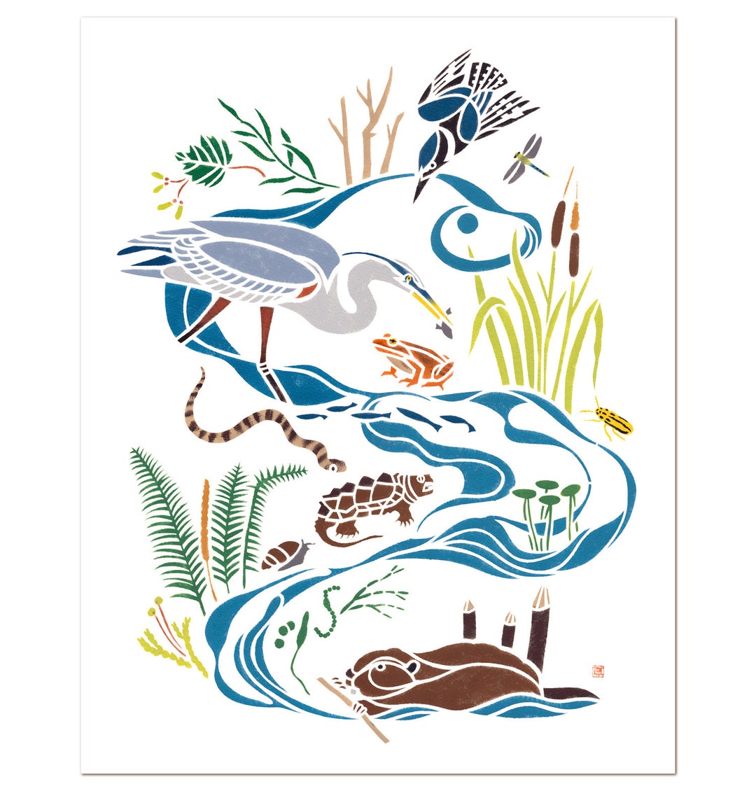 Reilly Pond Ecosystem Art Print 11"x14" / Bird Art / Wetlands / Beaver ...