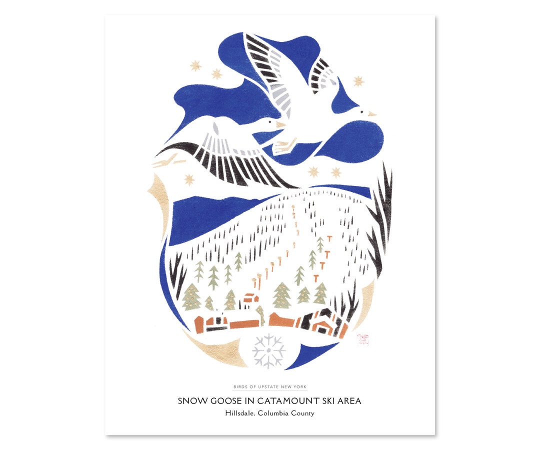 Snow Goose in Catamount Ski Area, Hillsdale, Columbia County / Upstate ...