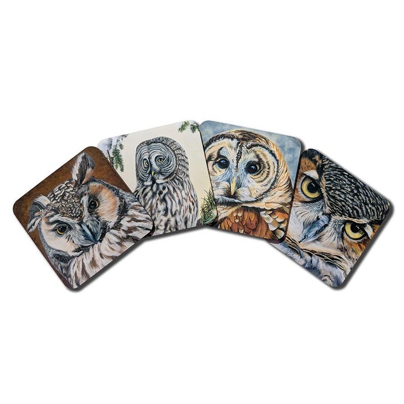 Owl Coasters - Etsy