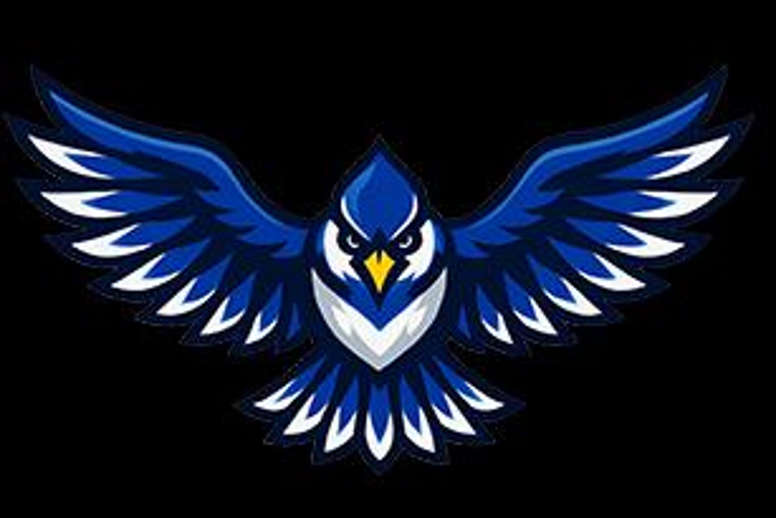 Bluejay Mascot Digital Bundle | 8 Clipart Designs | PNG Transparent ...