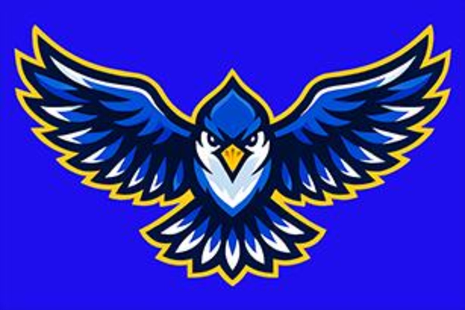 Bluejay Mascot Digital Bundle | 8 Clipart Designs | PNG Transparent ...