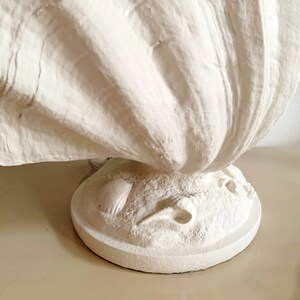 PLASTER SHELL LAMP - Etsy