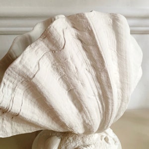 PLASTER SHELL LAMP - Etsy