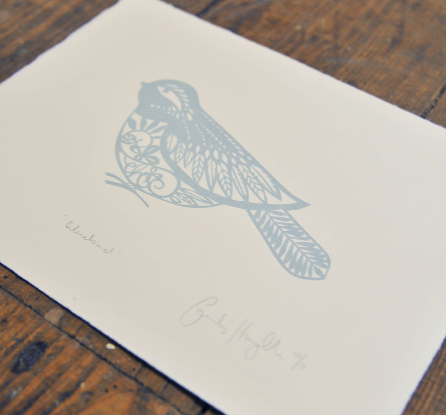 Bluebird Screenprint - Etsy