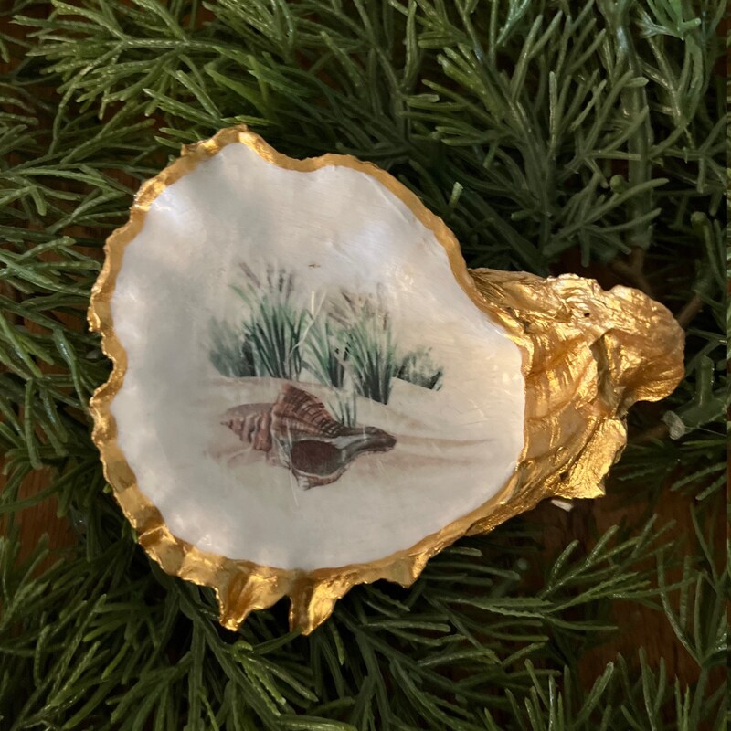 Decoupage Conch Shells - Etsy