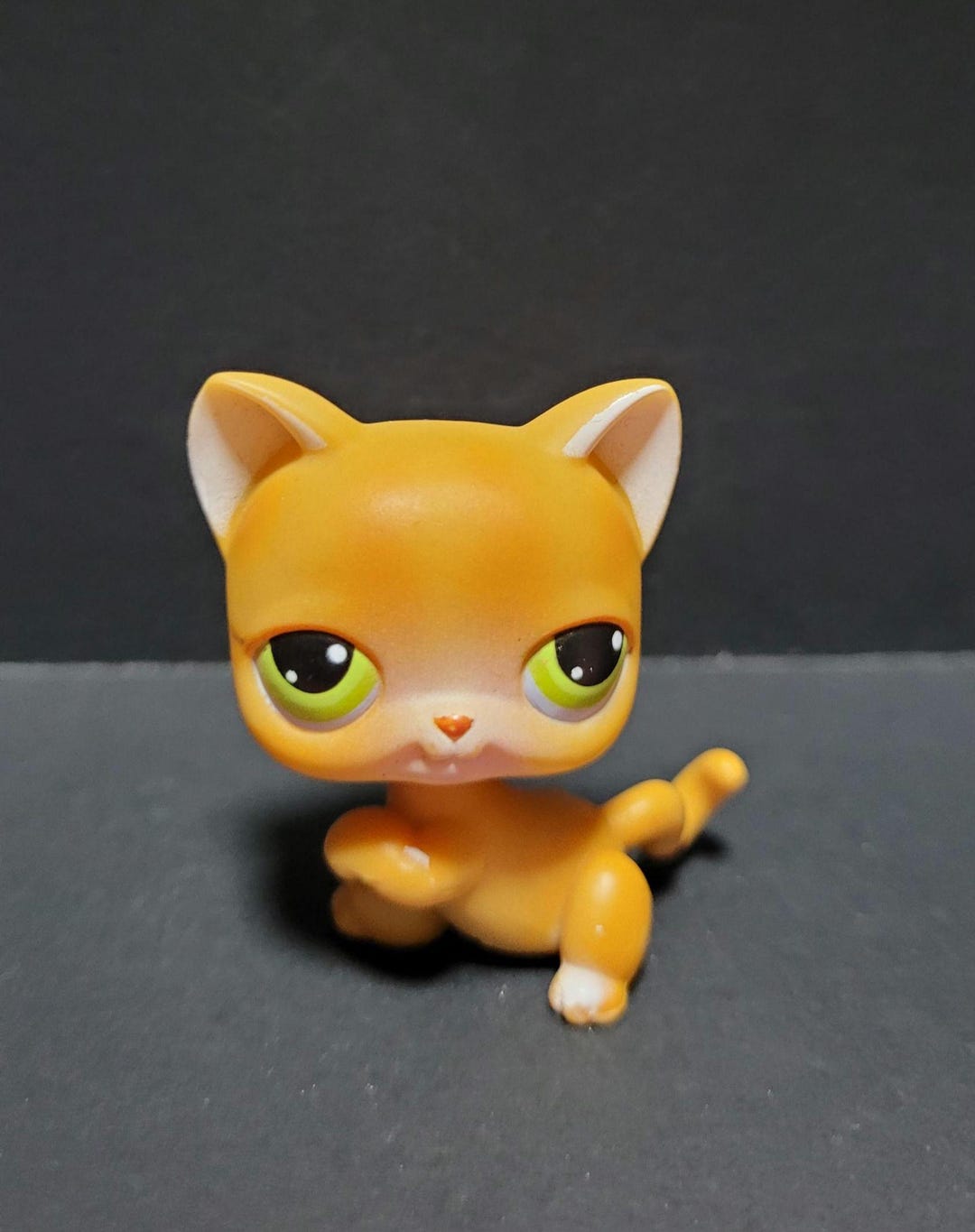 LPS Petshop Cat, RARE CAT 2005, Petshop Cat Figurine, Hasbro Certified ...