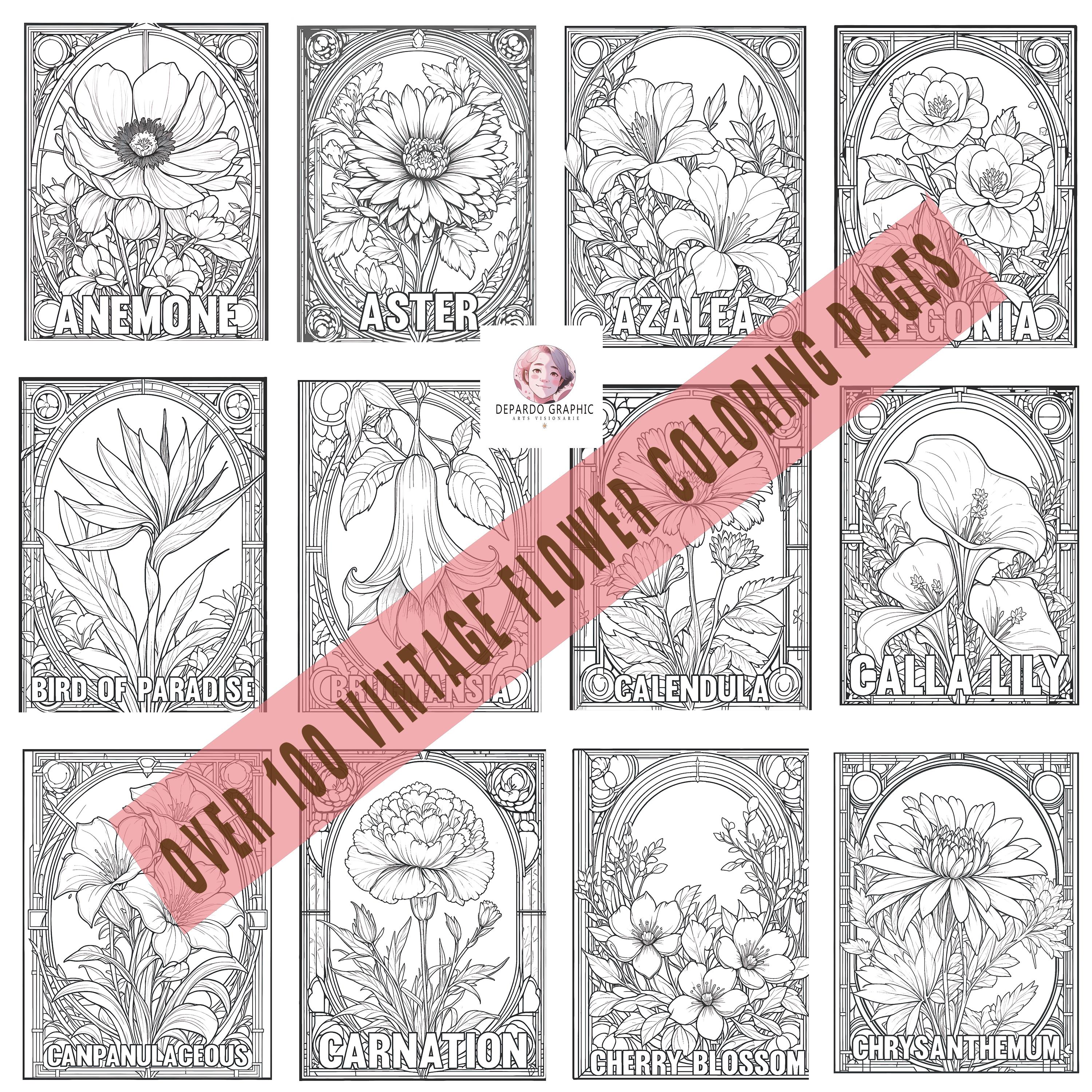 Over 100 Vintage Flower Coloring Pages - Printable Floral Line Art for ...