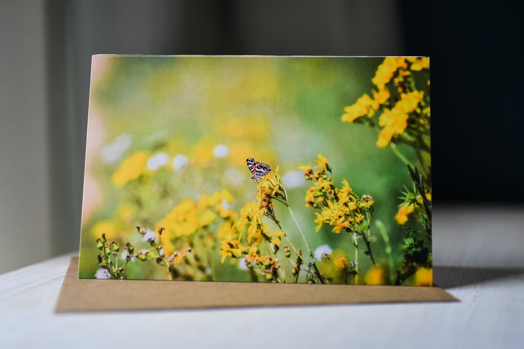 Little Butterfly - Etsy