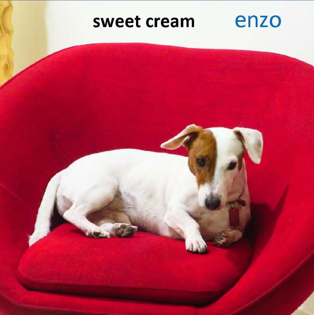 Sweet Cream Enzo for Face and Body. Healing Moisturizer. Scented With ...