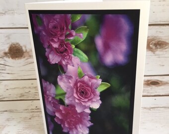 Flying Lobster and Wild Pink Azalea Greeting Card - Etsy