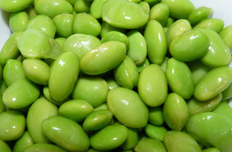 Edamame Seeds Soybean Seeds 'midori Giant' Edamame | Etsy