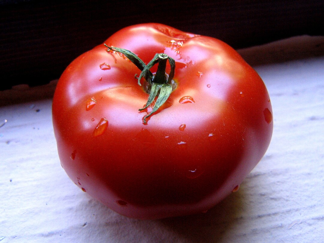 Big Beef Tomato Seeds - Etsy