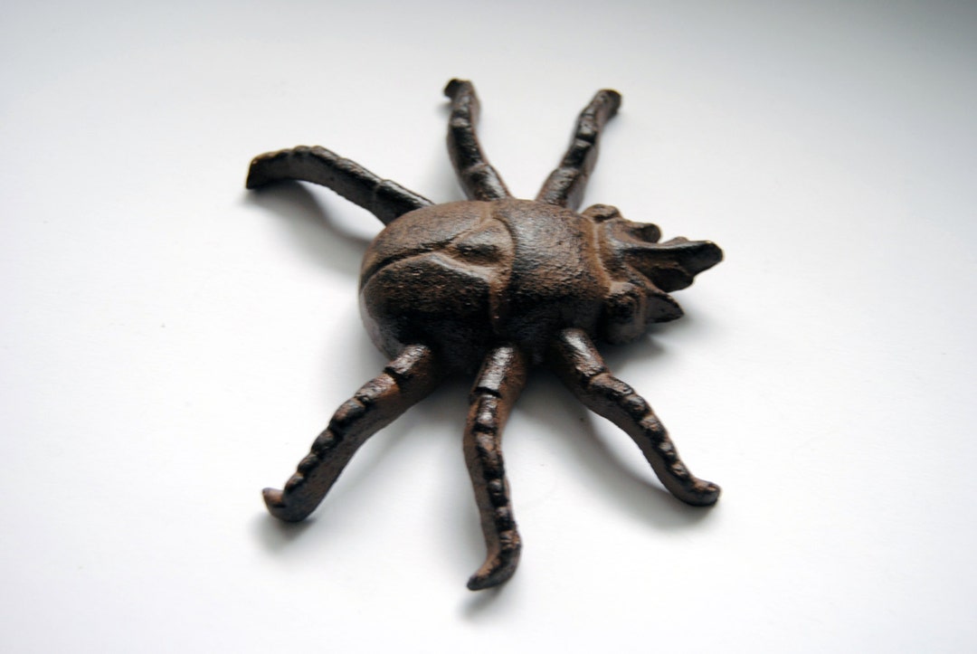 Cast Iron Insect /// Spider /// Wall Hanging - Etsy