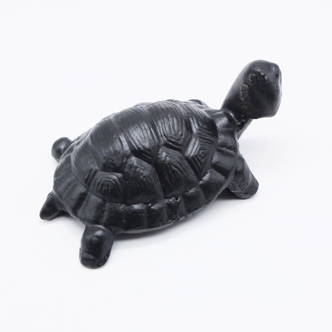 Hand Painted Cast Iron Turtle //// Turtle Décor - Etsy