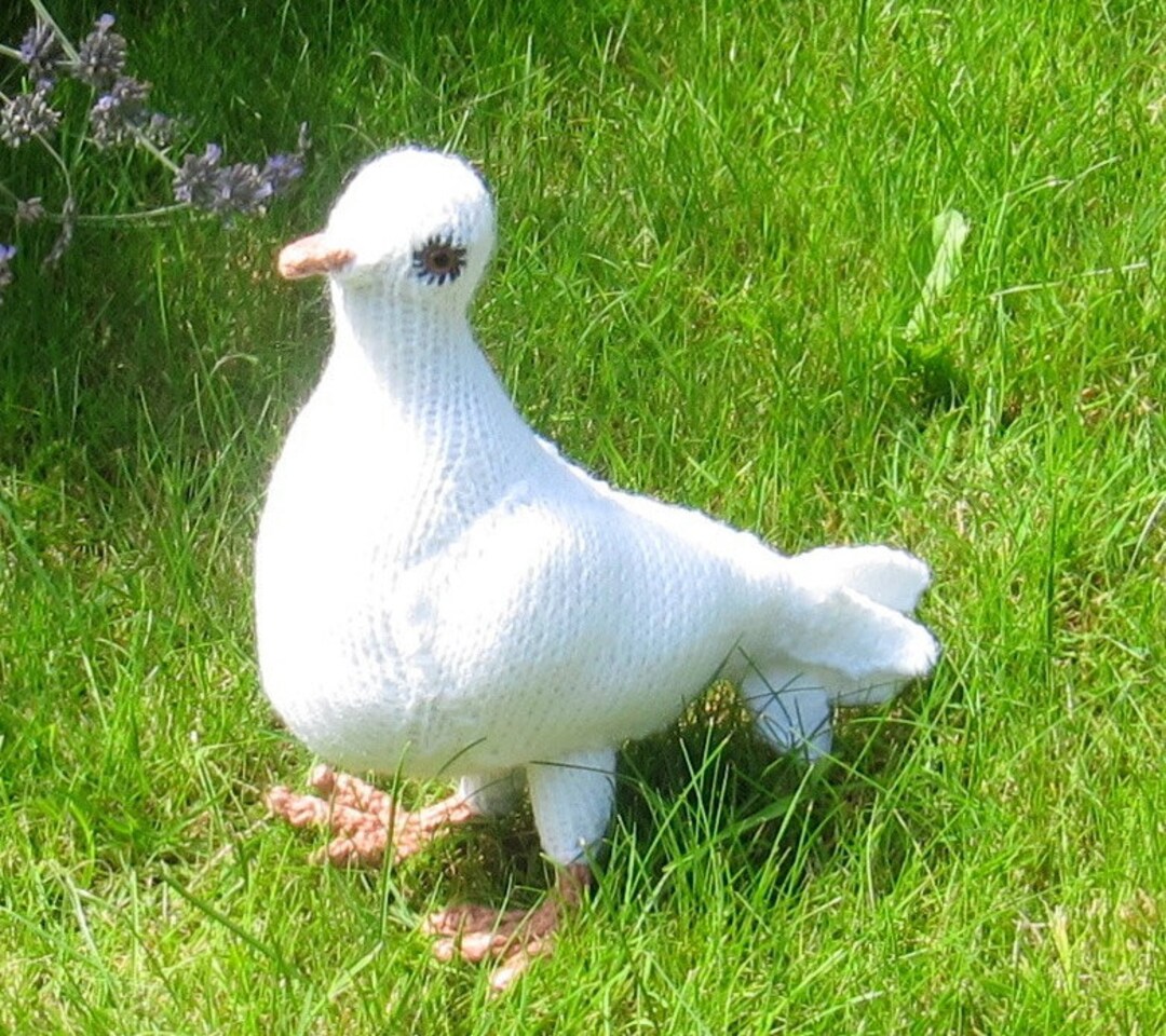 ENGLISH ONLY Instant Digital Pdf Download Knitting Pattern-peace Dove ...