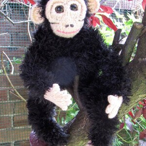 Instant Digital File Pdf Download Knitting Pattern my Pet Chimpanzee ...