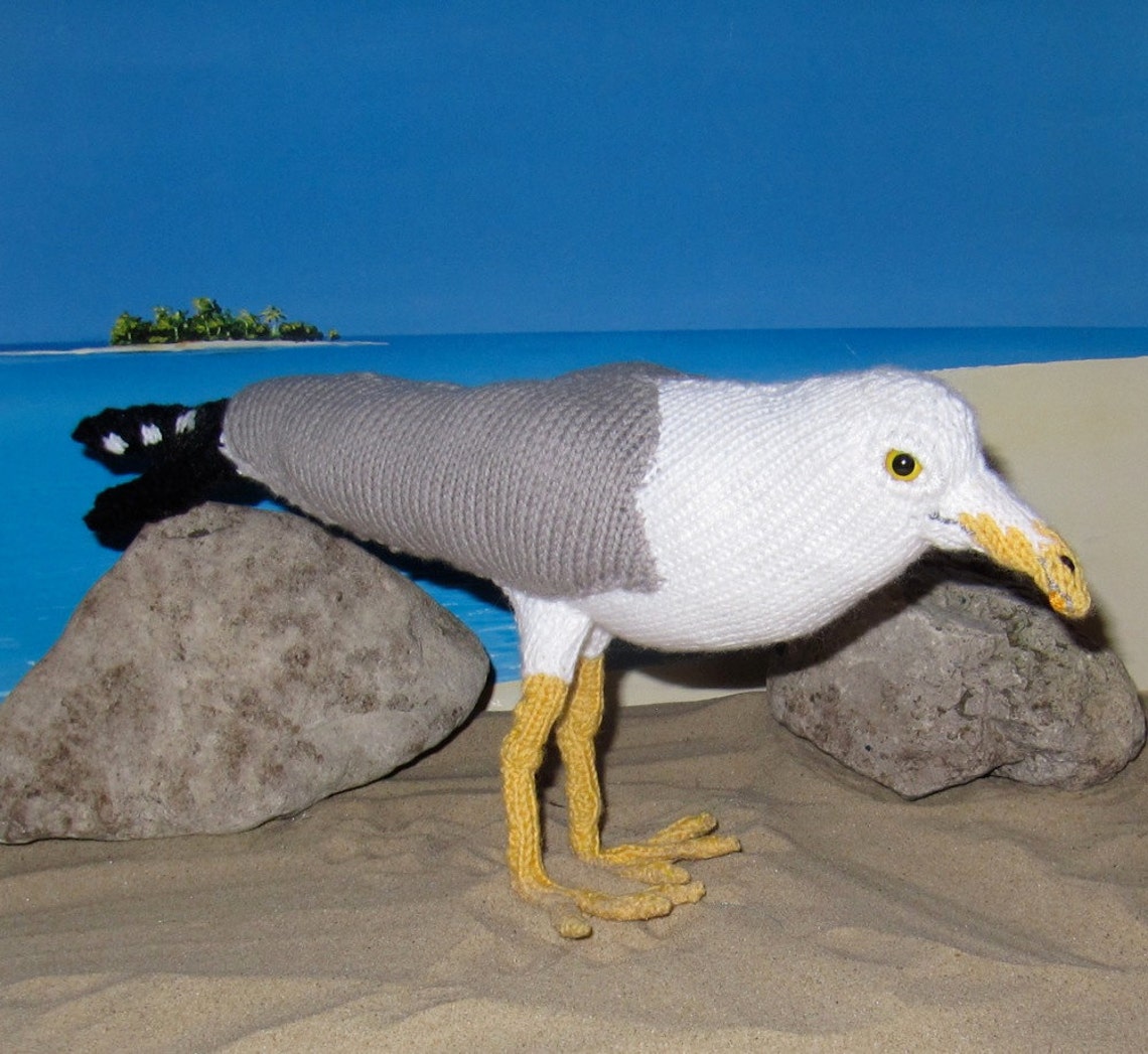 Knitting Pattern Only My Pet Seagull Knitting Pattern | Etsy